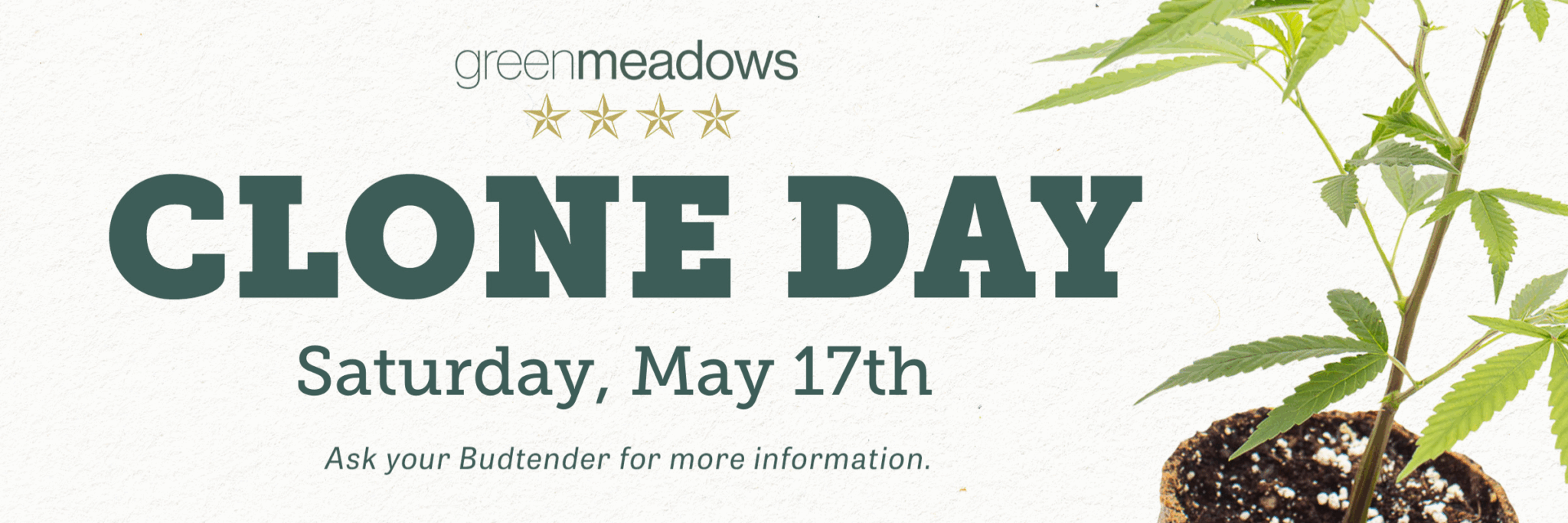 Clone Day 2025 - Quincy Cannabis Co